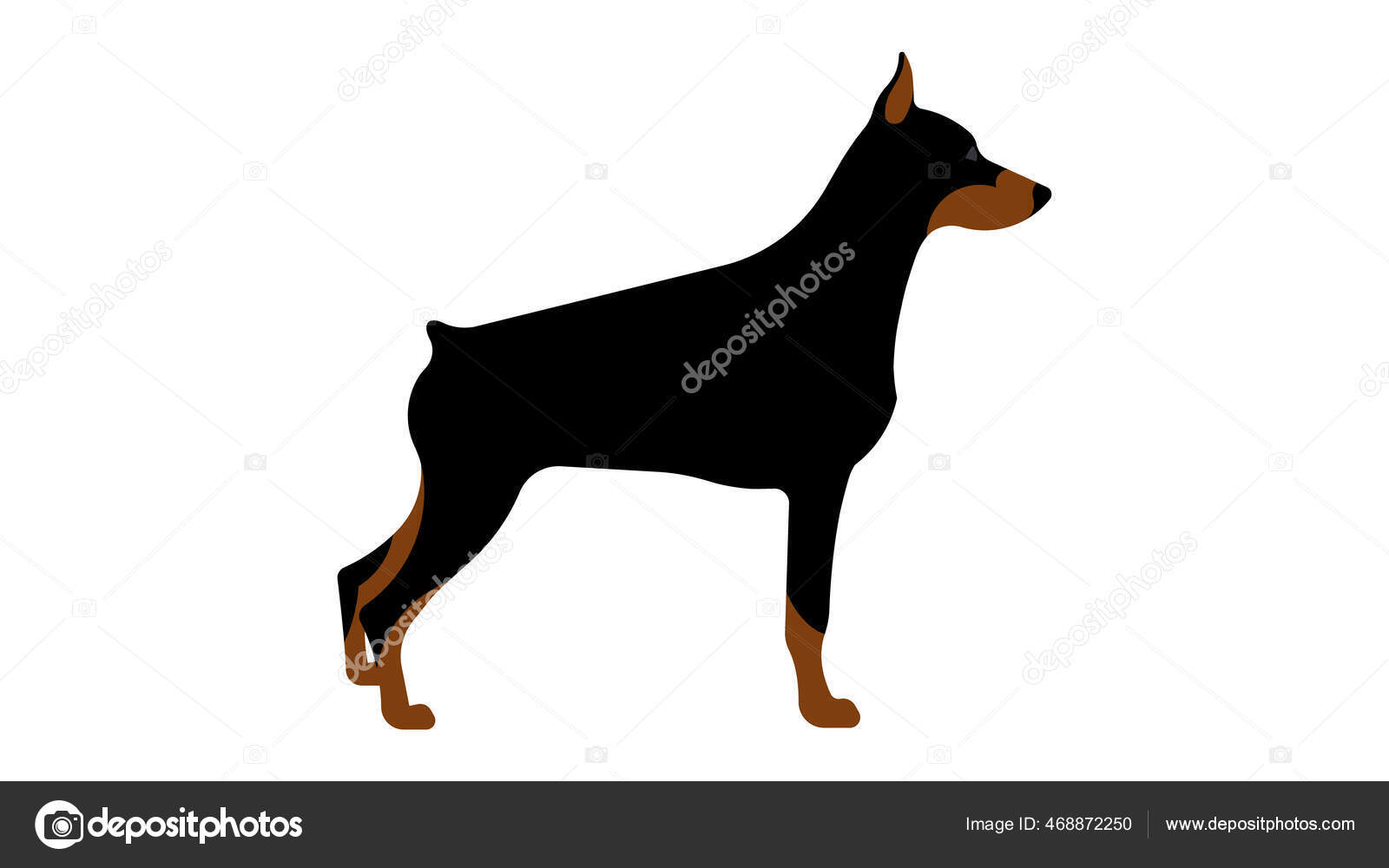 Doberman Full Height Dog Side View Silhouette Vector Isolated ...