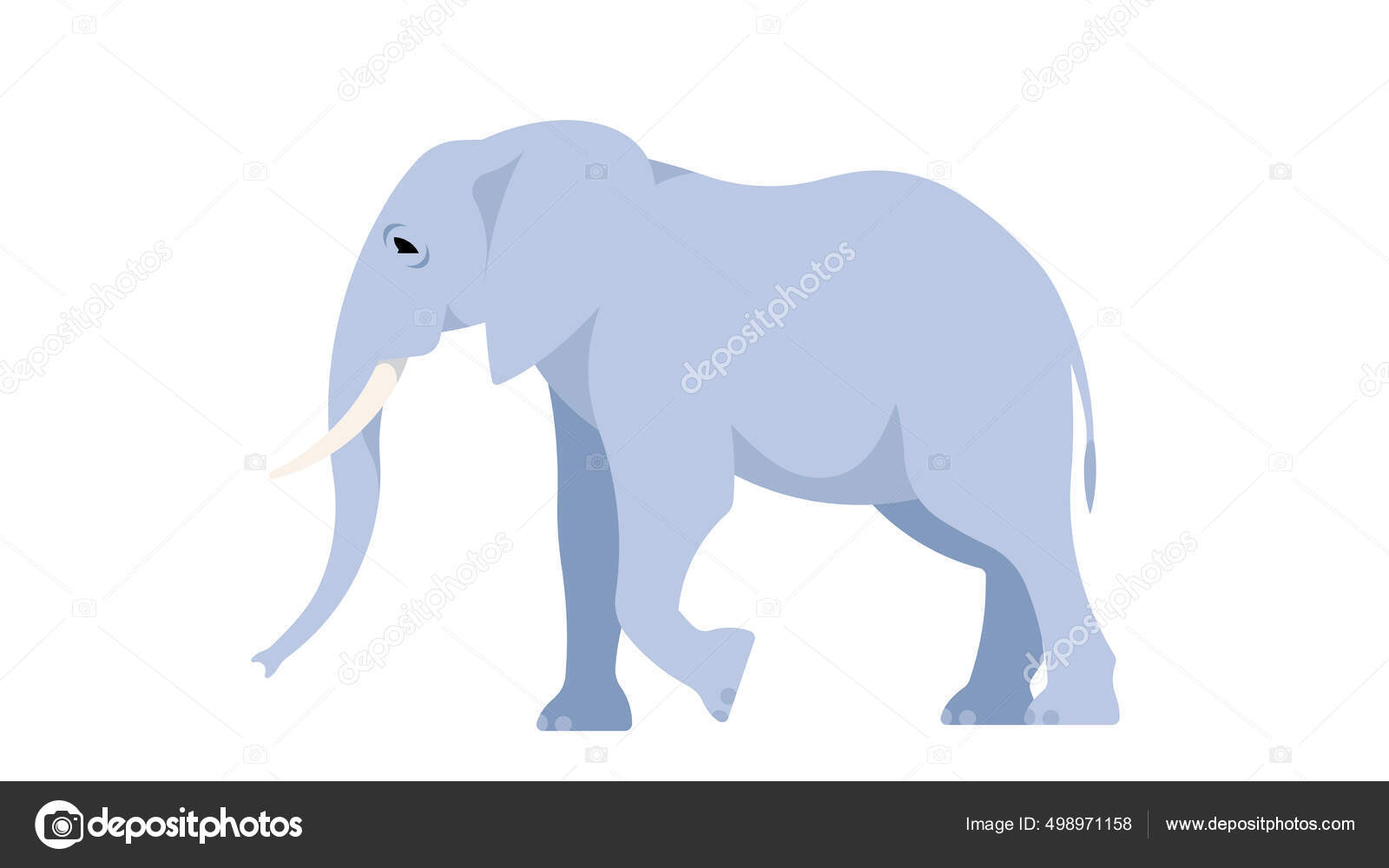 African Elephant African Elephant Vector Elephant Full Growth White ...