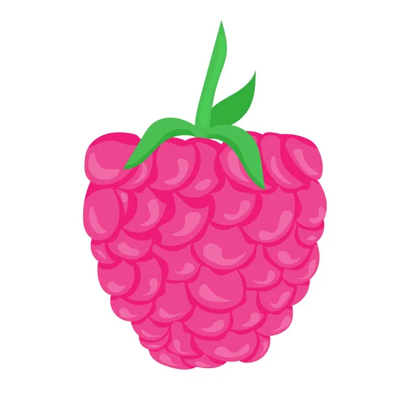 22,726,180 Raspberry pi Vector Images | Depositphotos