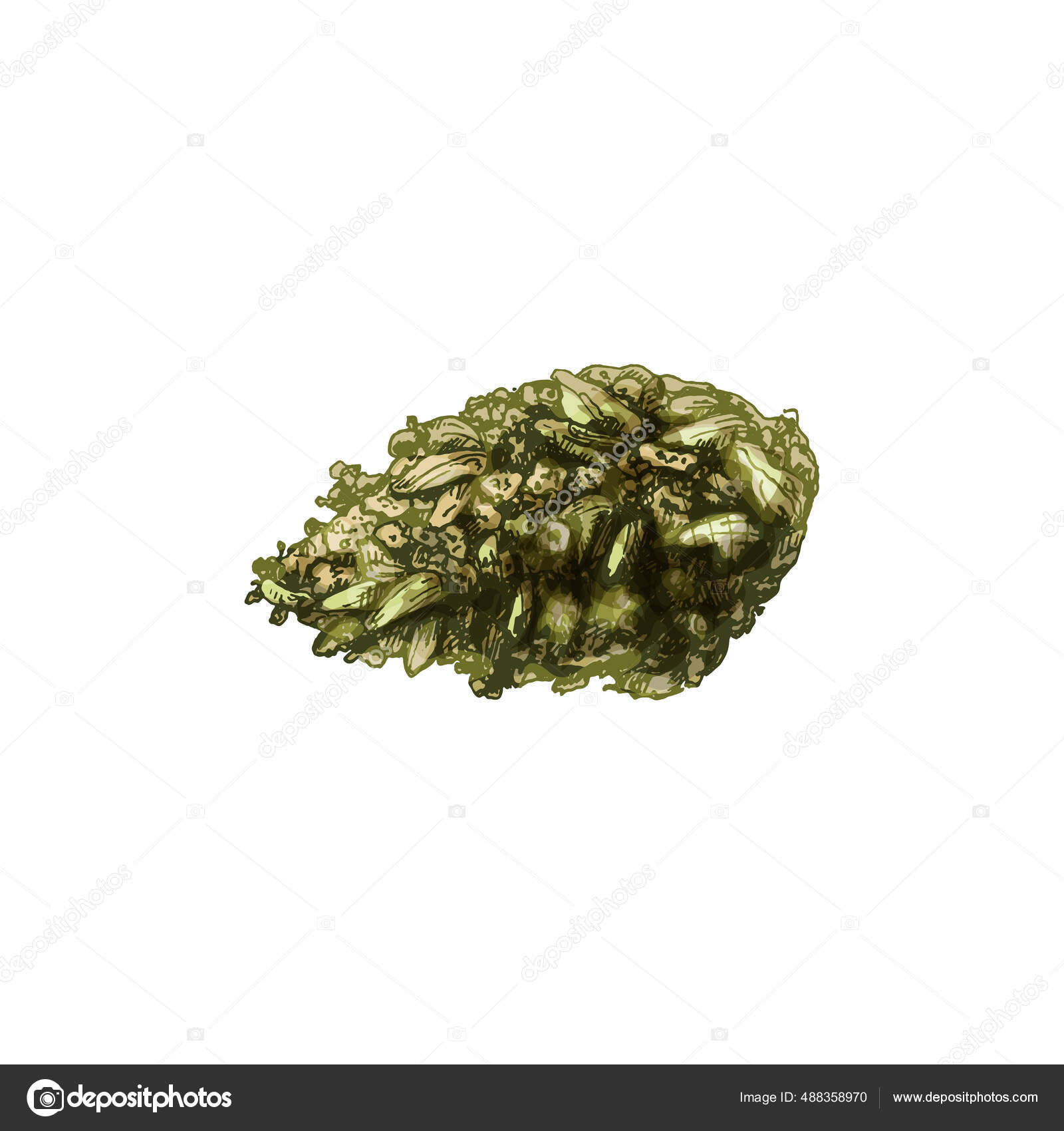 Marijuana buds. Vector hatching illustration isolated on white ...