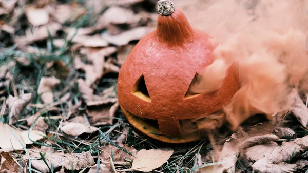 Burning pumpkin Stock Photos, Royalty Free Burning pumpkin Images | Depositphotos