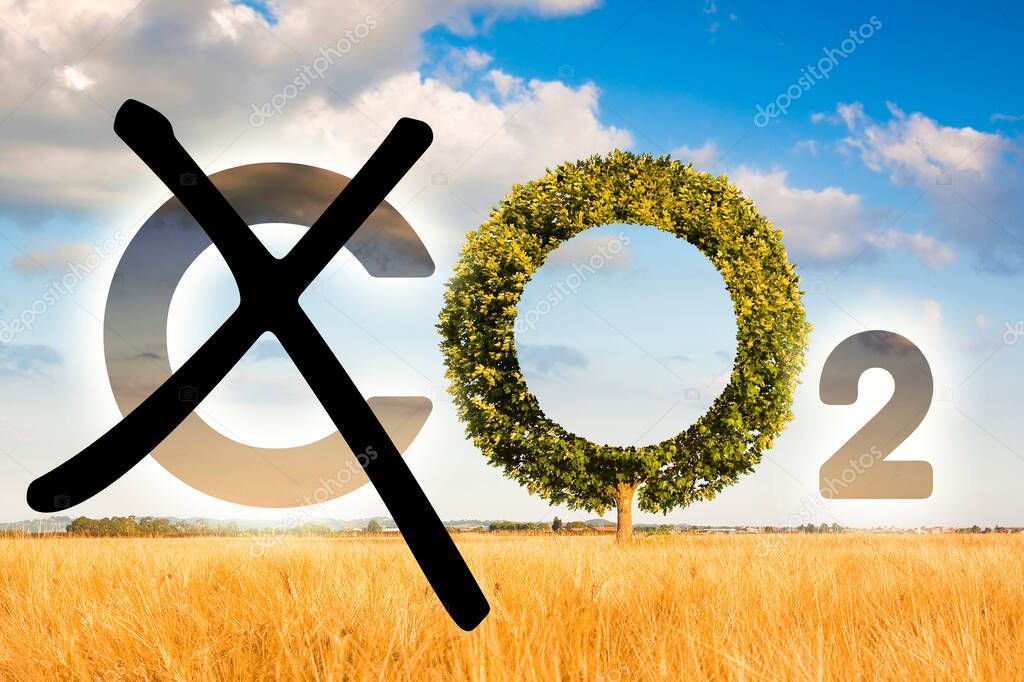 Plantar más árboles reduce el CO2 - reducción de la cantidad de ...