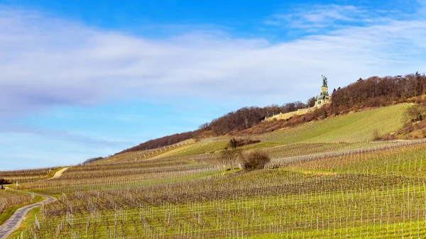 Viñedos, Rudesheim am Rhein y Bingen am Rhein vista panorámica aérea de ...