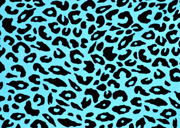 Leopard blue pattern background Stock Photo by ©kwasny222 30653399