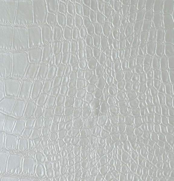 White crocodile texture Stock Photos, Royalty Free White crocodile ...