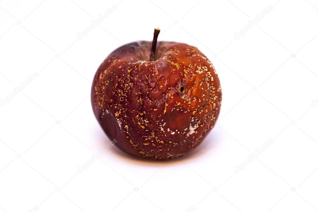 Withered apple — Stock Photo © comondear #82934780