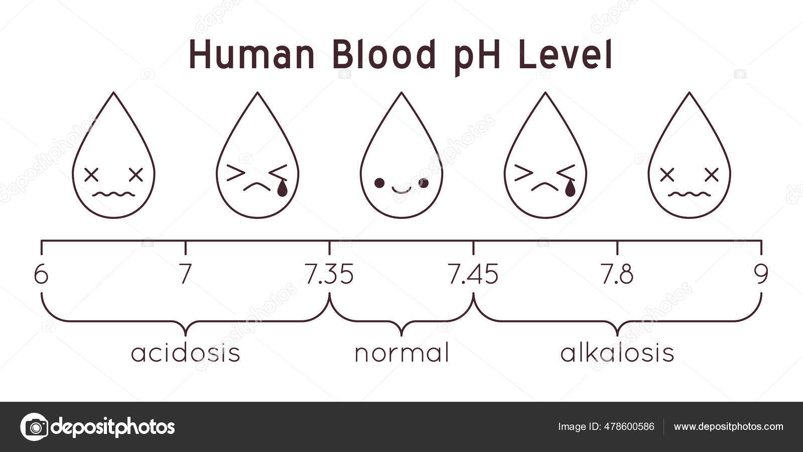 Vector Scale Human Blood Acidic Normal Alkaline Diagram Rainbow ...