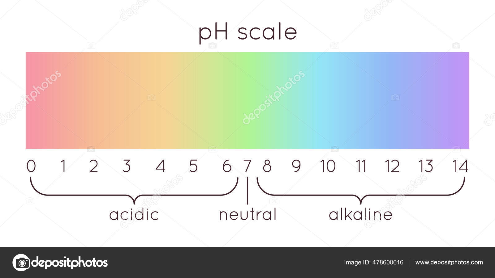 Vector Scale Acidic Normal Alkaline Diagram Rainbow Laboratory Paper ...