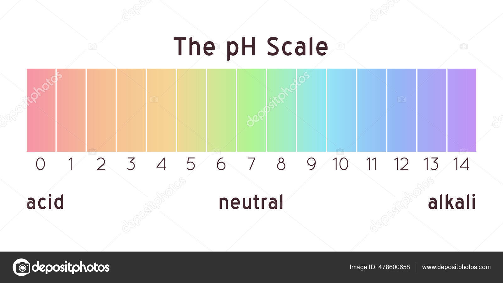 Vector Scale Acidic Normal Alkaline Diagram Rainbow Laboratory Paper ...