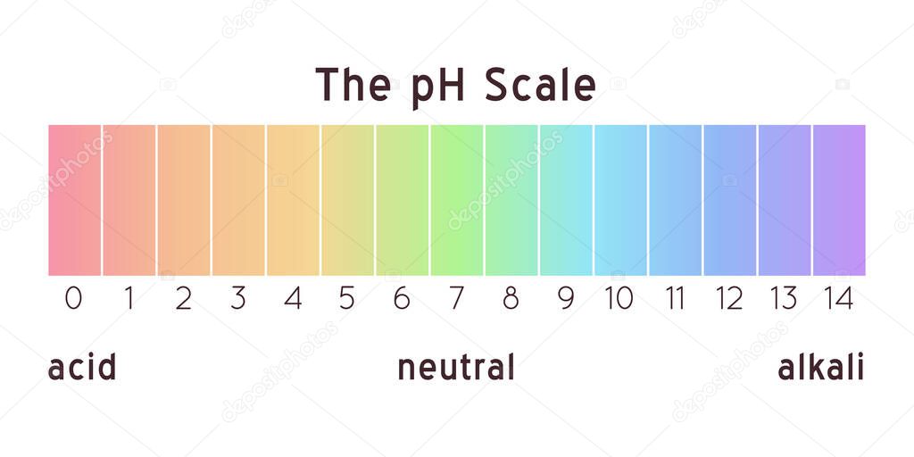 Vector Scale Acidic Normal Alkaline Diagram Rainbow Laboratory Paper ...