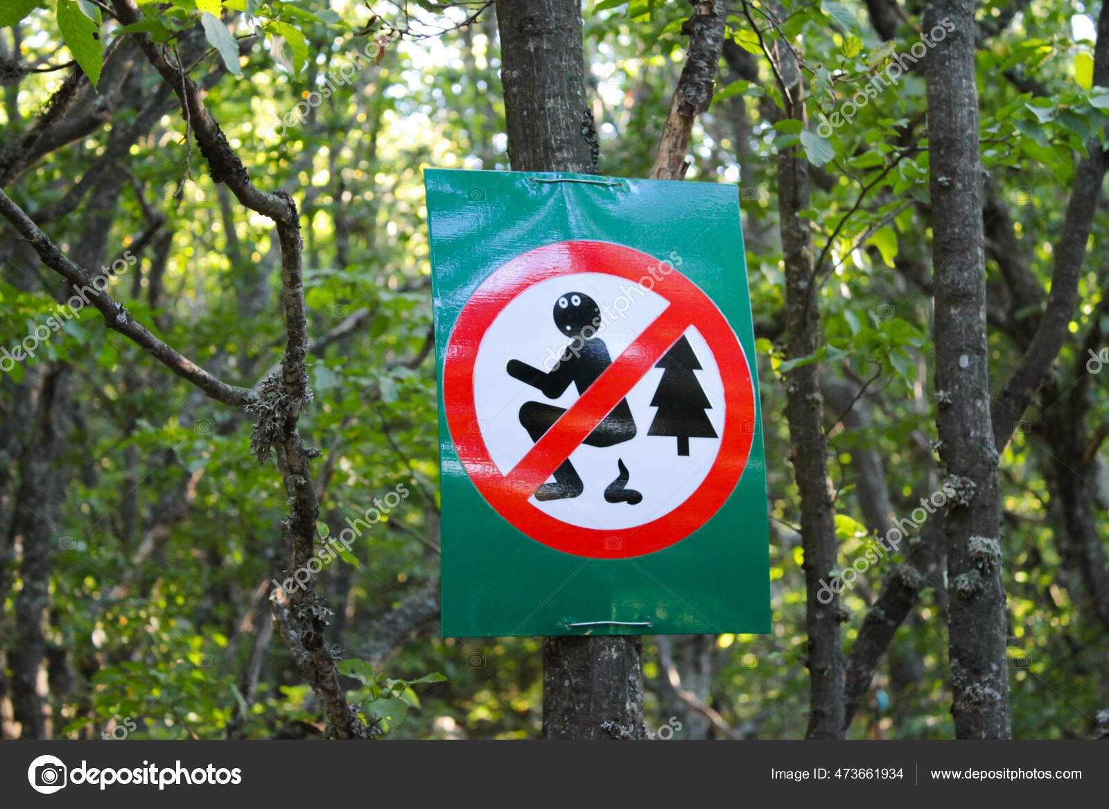 Sign Tree Forest Park Prohibits People Pooping Nature — Stock Photo ...