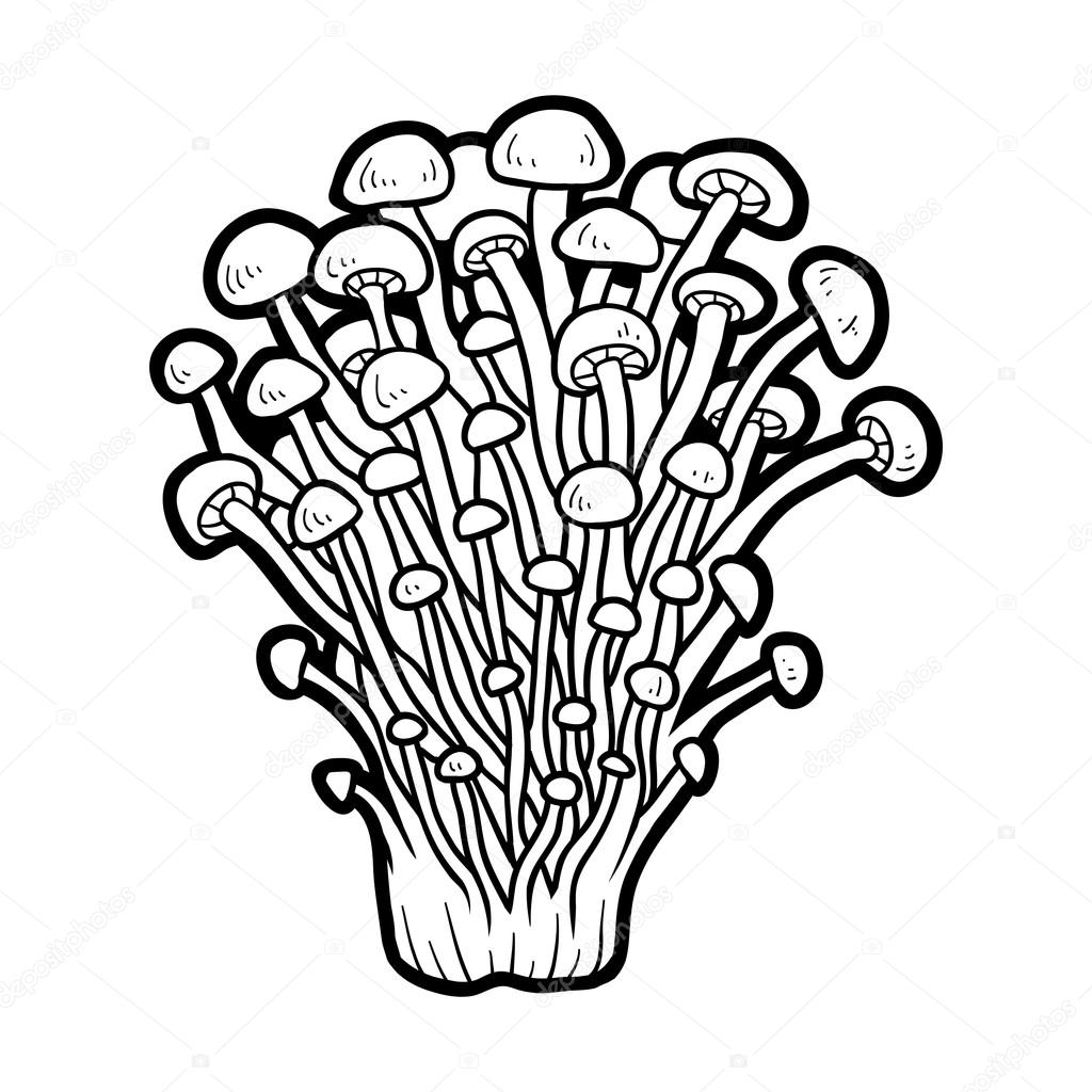 Coloring book. Edible mushrooms, enoki Stock Vector by ©ksenya_savva ...