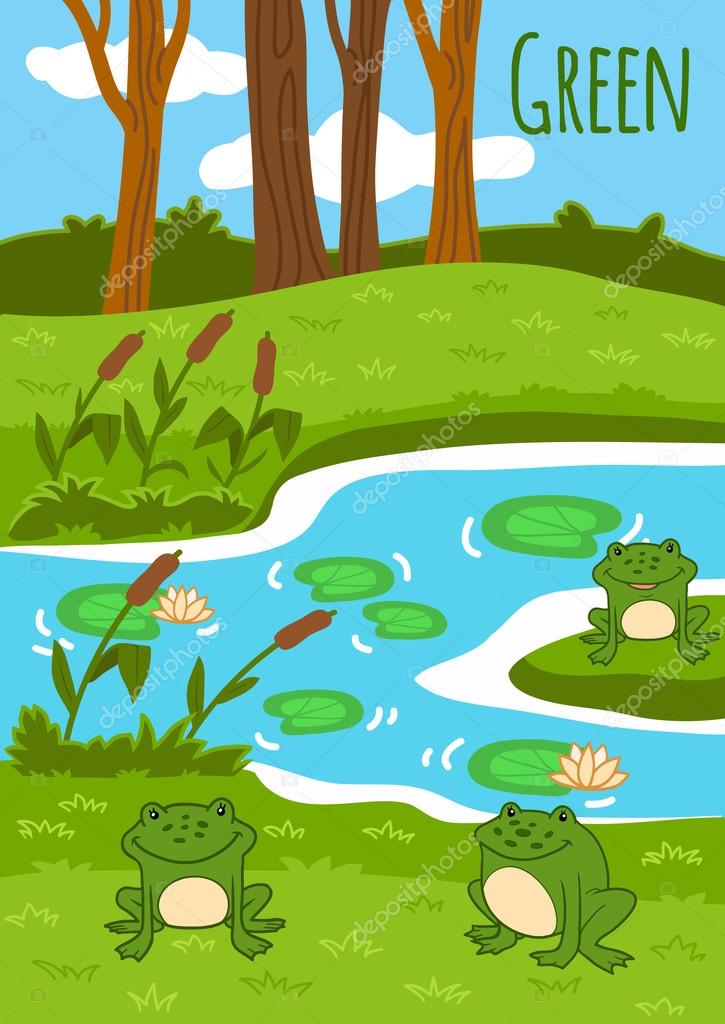 Colores para niños: verde 2024