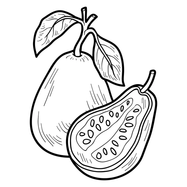 Guayaba dibujo para colorear - Imagui