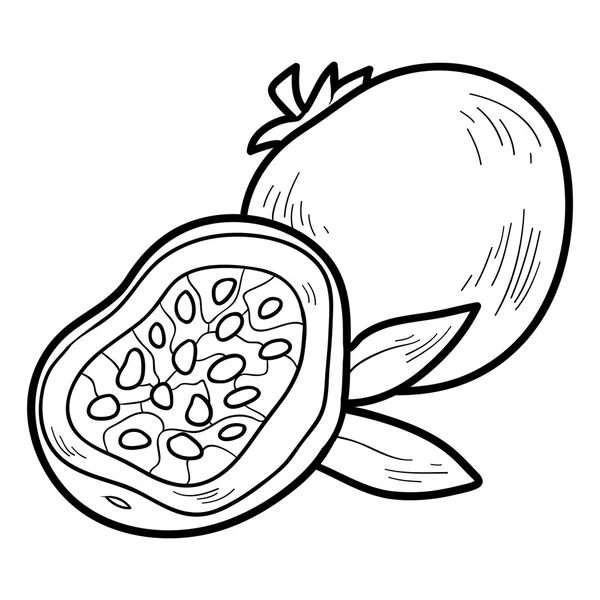 Passion Fruit Coloring Pages Coloring Pages