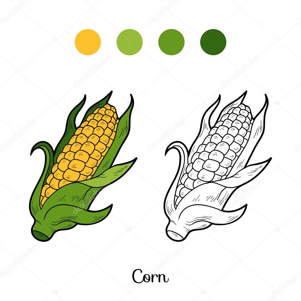 Maize Vegetable Coloring Page For Kids Printable Fructe