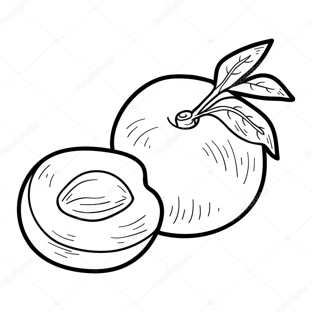Coloring book: fruits and vegetables (nectarine) — Stock Vector ...