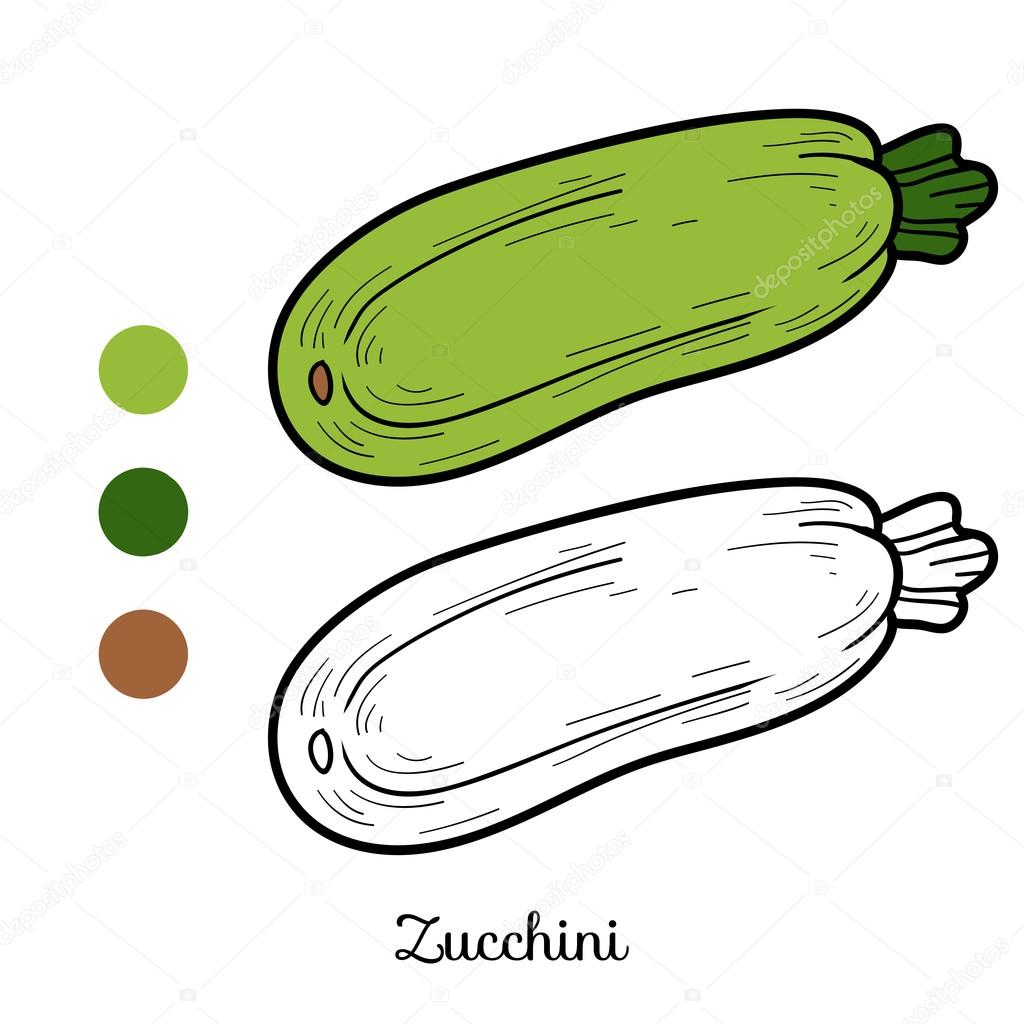 Coloring book: fruits and vegetables (zucchini) Stock Vector Image by ...