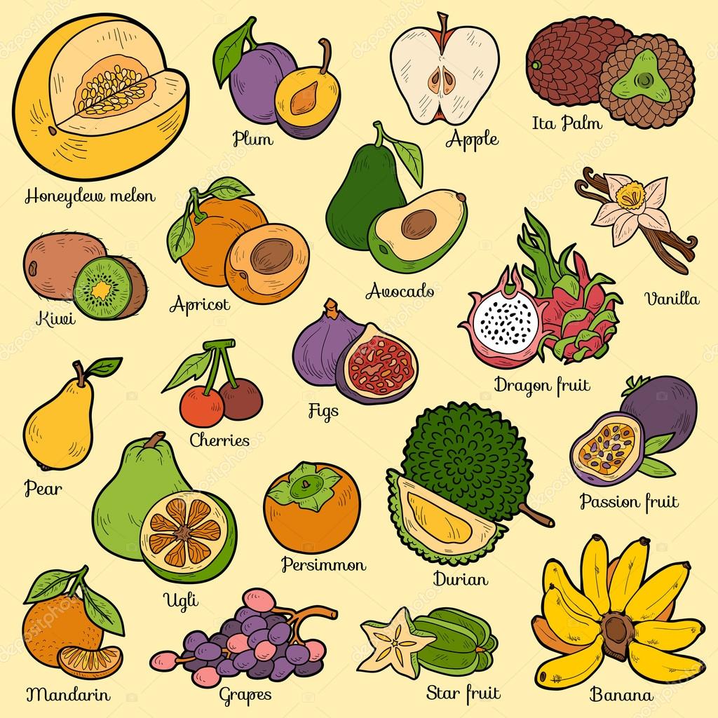 Color set with tropical fruits, vector cartoon stickers — Stock Vector ...