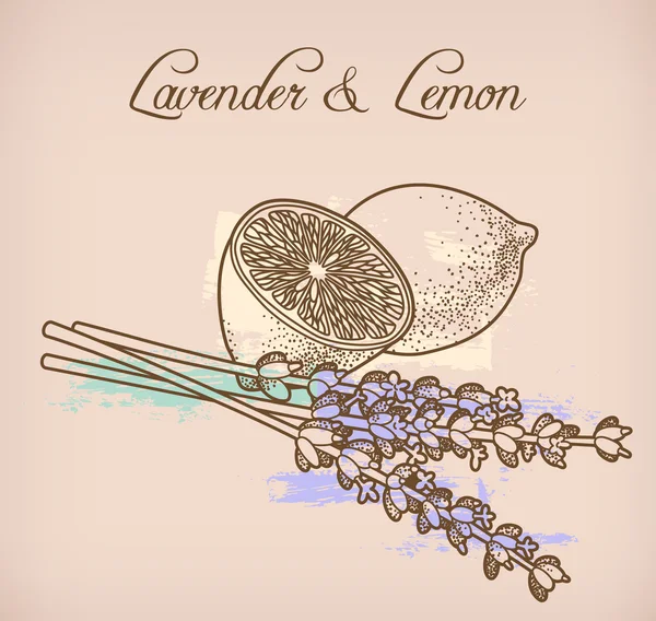 4,667 Provence Stock Illustrations | Depositphotos®