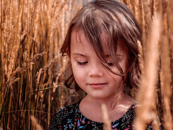 How much joy how much tenderness - Stock Image - Everypixel