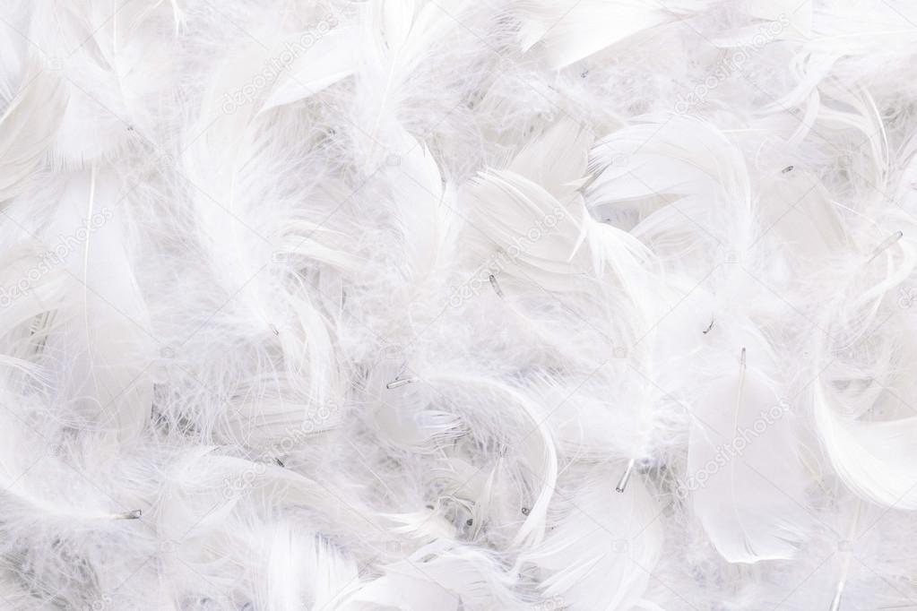 50 Wedding Photography Backdrop Ideas to Make Your Photos Pop