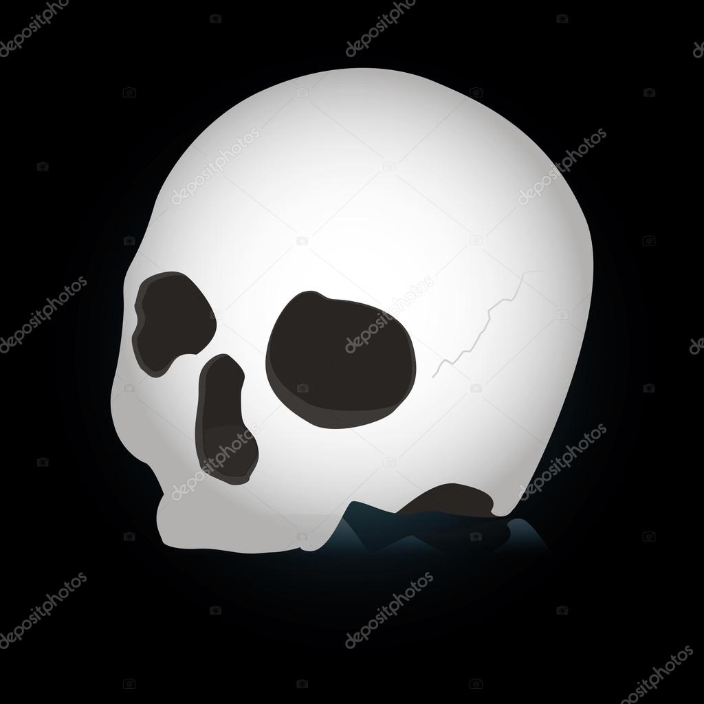 Broken Skull Stock Vector by ©LAUDiseno 78544820