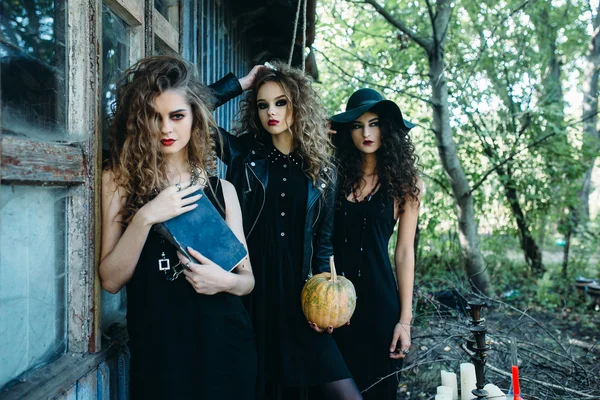 Three witches Pictures, Three witches Stock Photos & Images ...