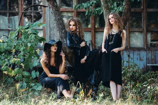 Three witches Pictures, Three witches Stock Photos & Images ...