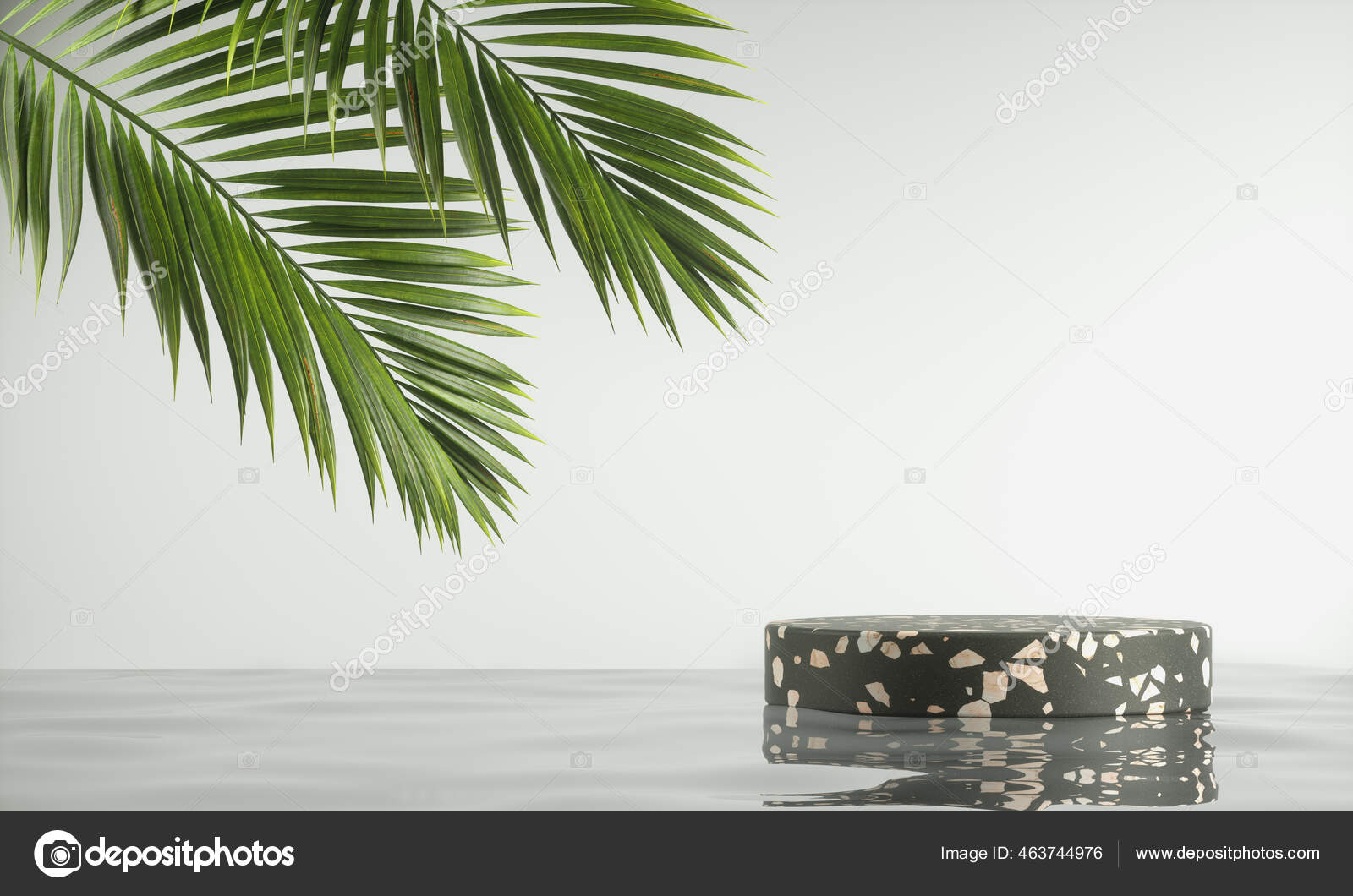 Modern Minimal Platform Black Terrazzo Stone Water Ripple Palm Leaf ...