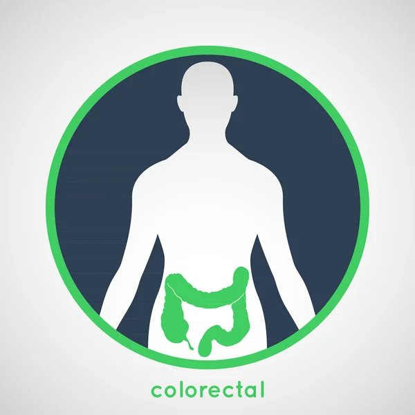 Large intestine medical logo vector Stock Vector by ©ilovecoffeedesign ...