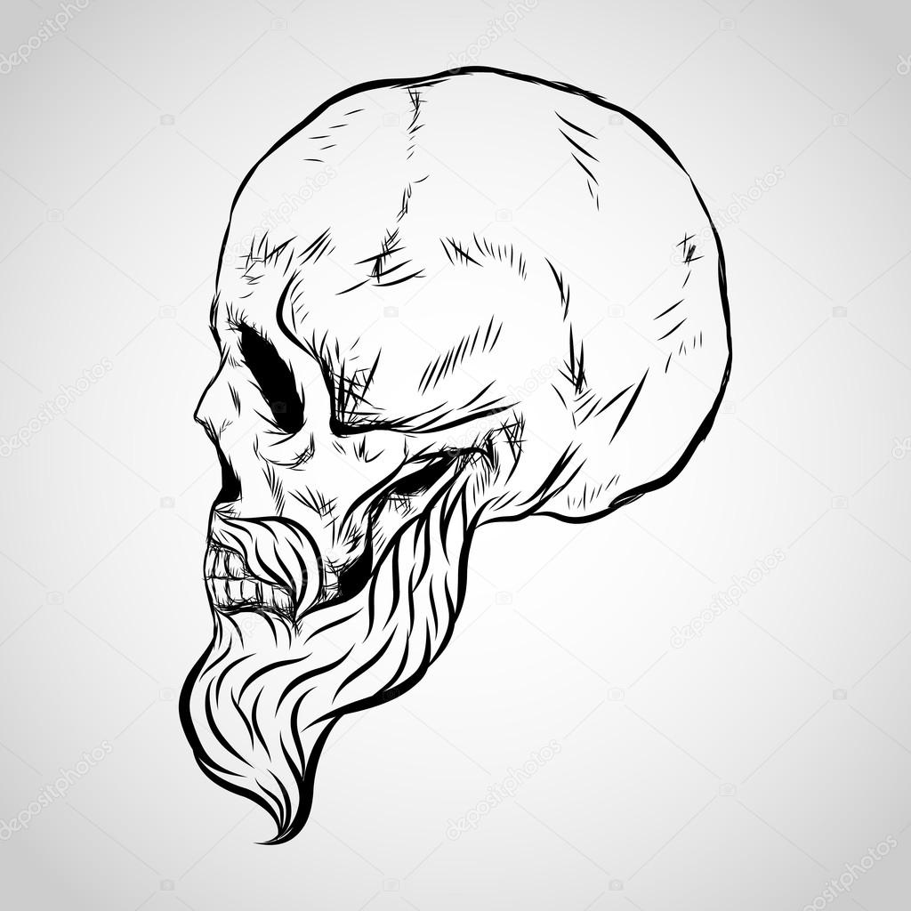 Bearded skull vector ⬇ Vector Image by © ilovecoffeedesign | Vector ...