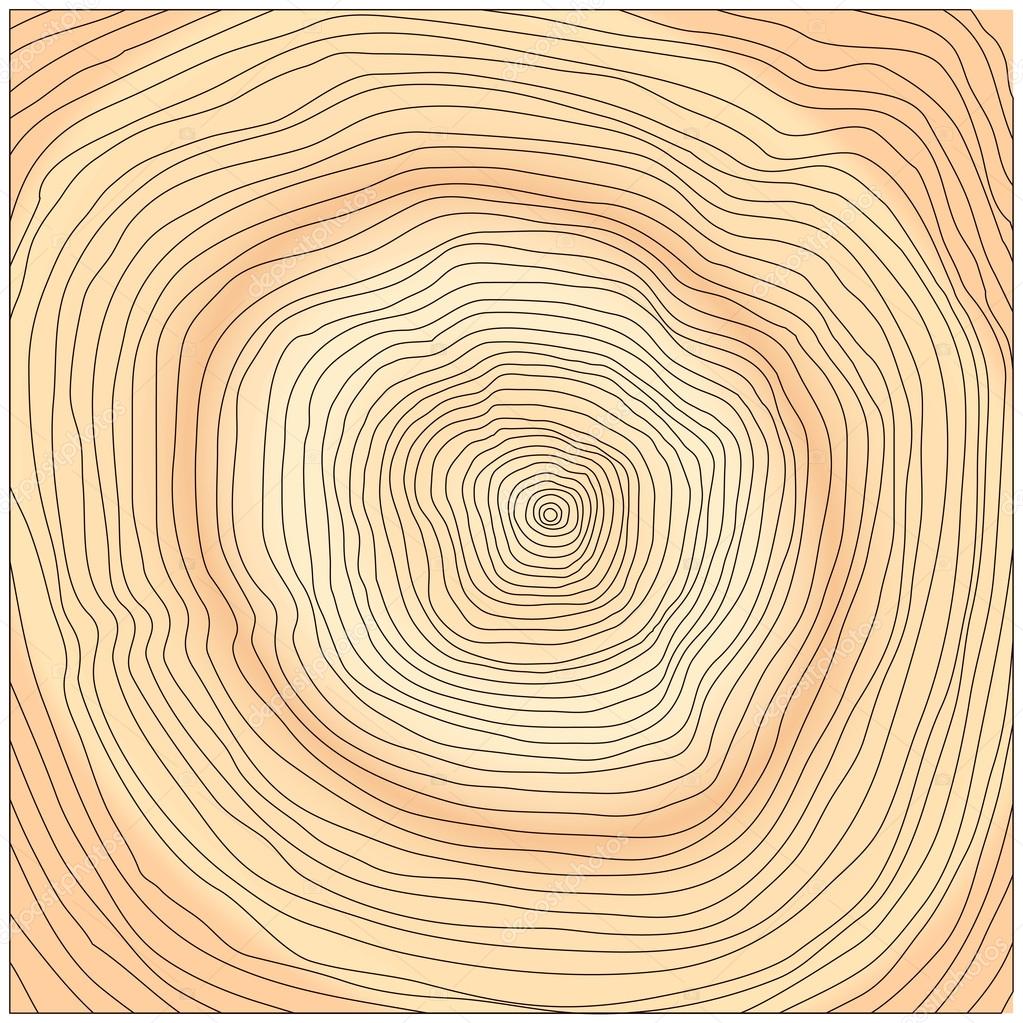 Tree rings Stock Vector Image by ©ambassador80 #73398903