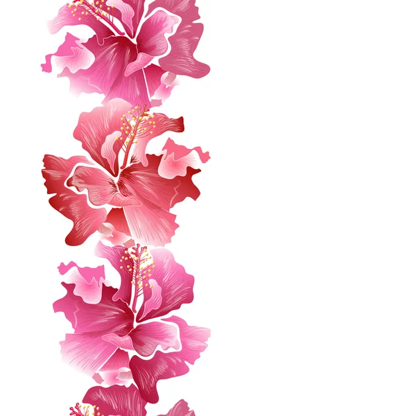 100,000 Hibiscus border Vector Images | Depositphotos
