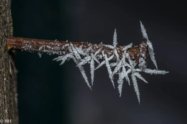 Horror frost Stock Photos, Royalty Free Horror frost Images | Depositphotos