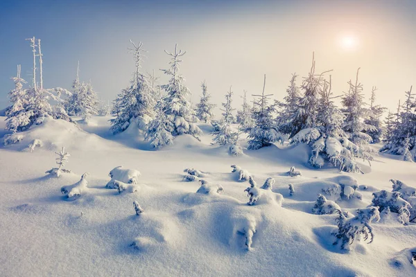 Alaska winter Stock Photos, Royalty Free Alaska winter Images ...