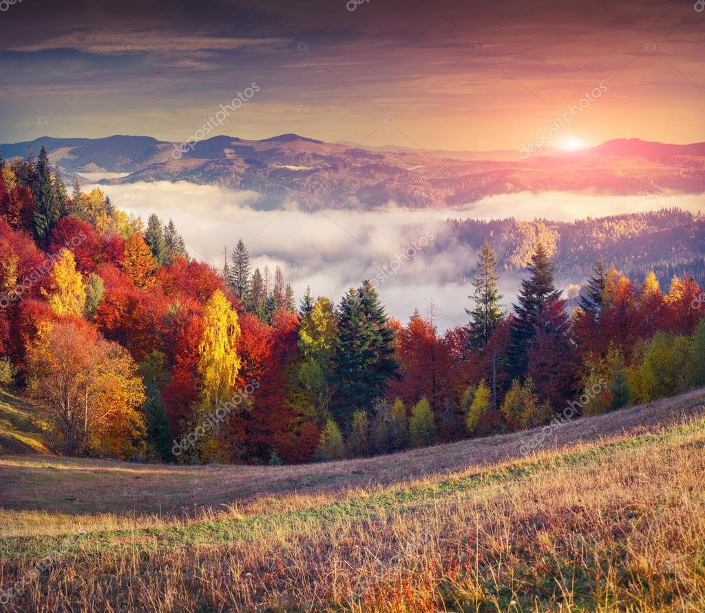 Colorful autumn sunrise in the mountains. — Stock Photo ...