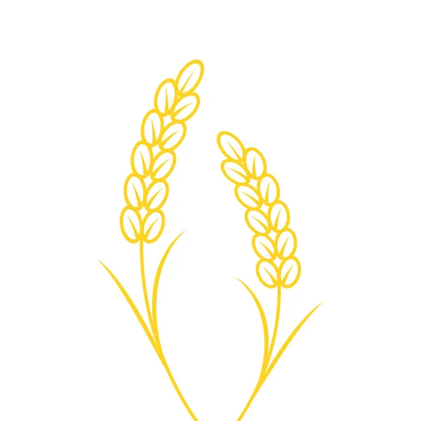 100,000 Cracked wheat Vector Images | Depositphotos