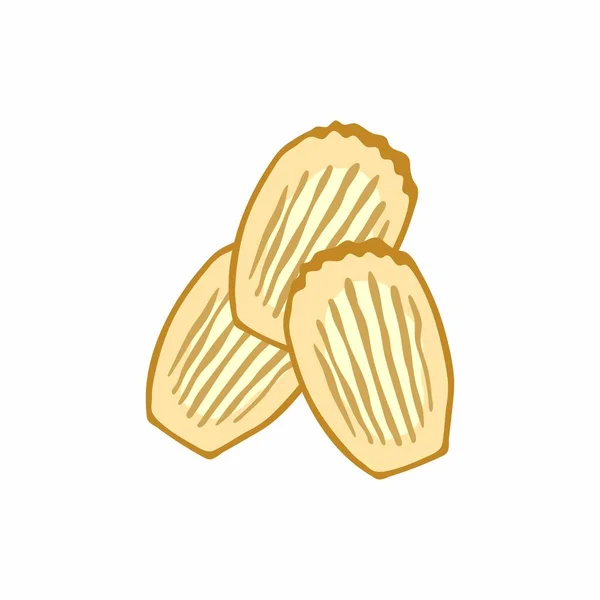 Madeleine Vector Art Stock Images | Depositphotos