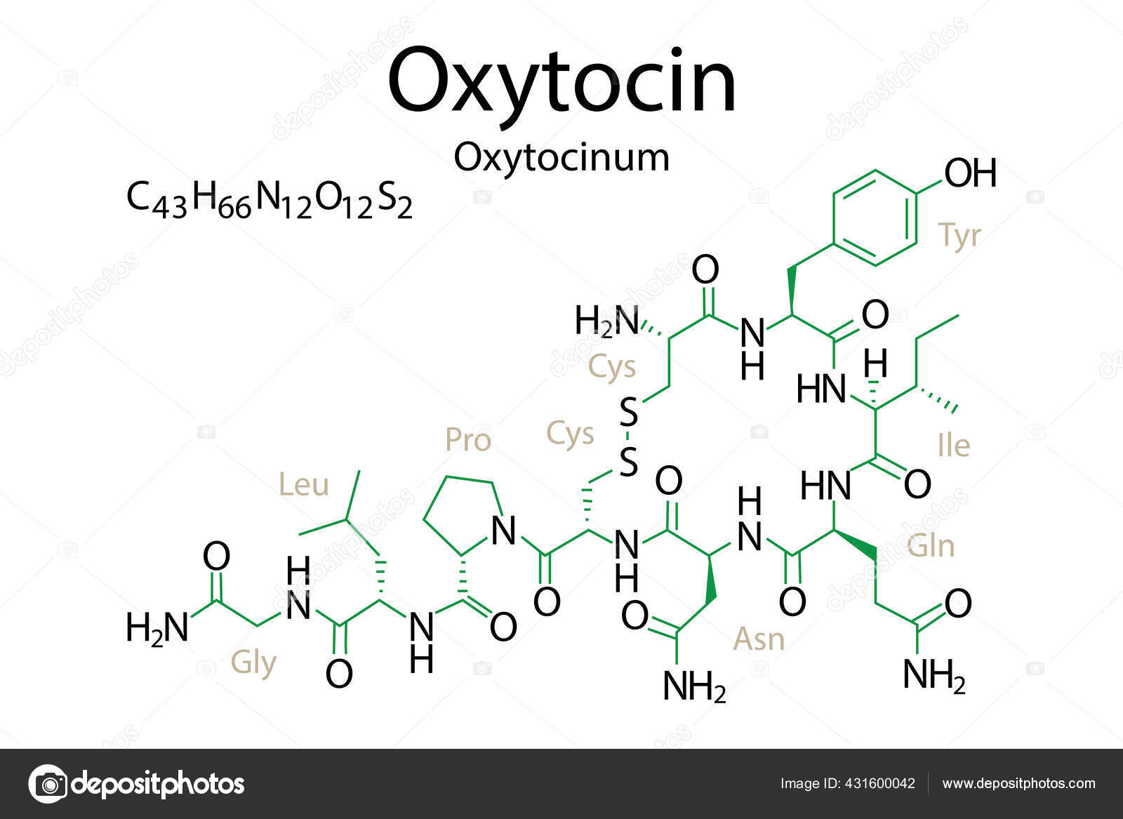 Flat Icon Oxytocin Formula Medical Design Flat Vector Romantic Vector ...