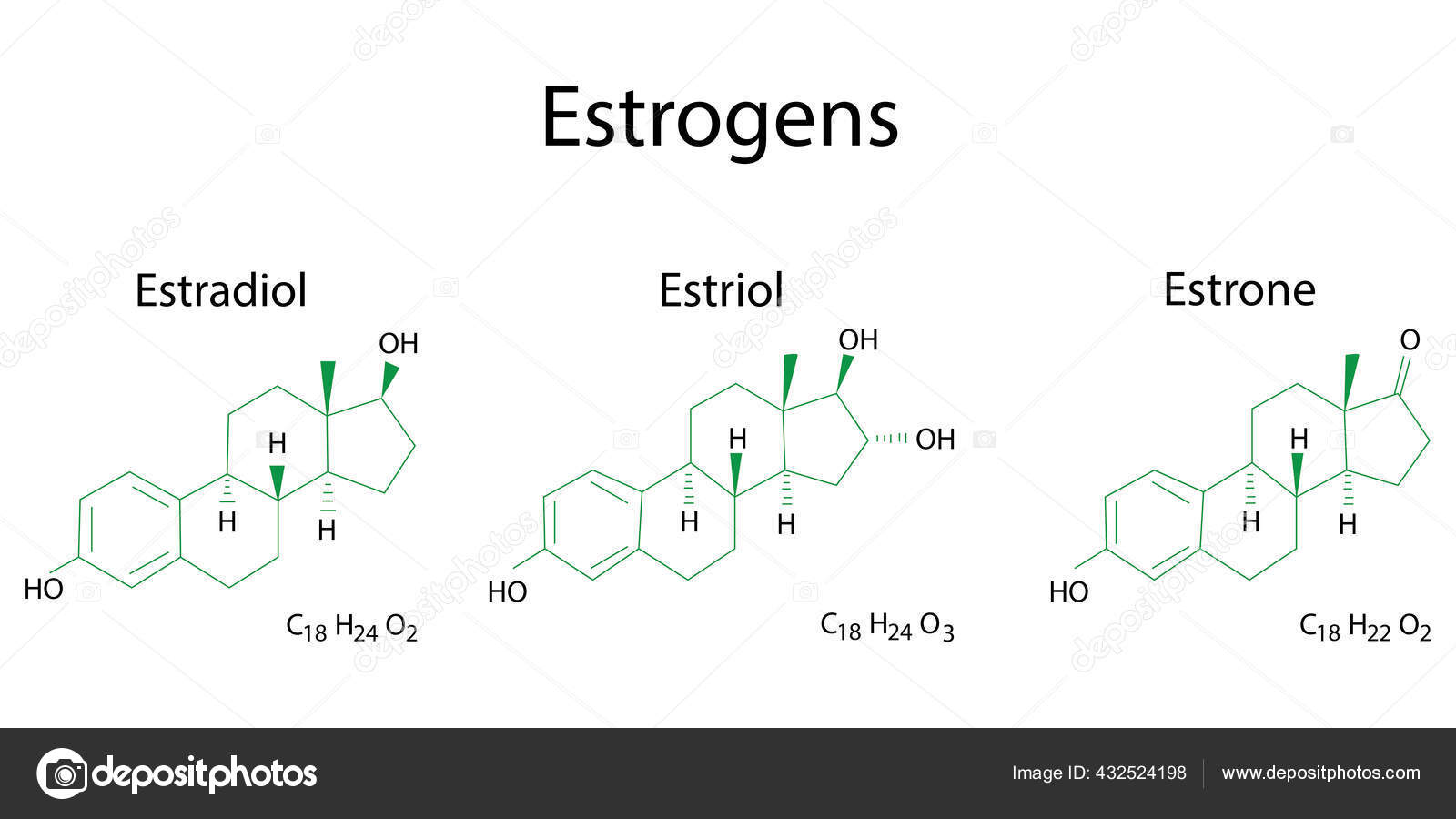 Structure Of Estrogen