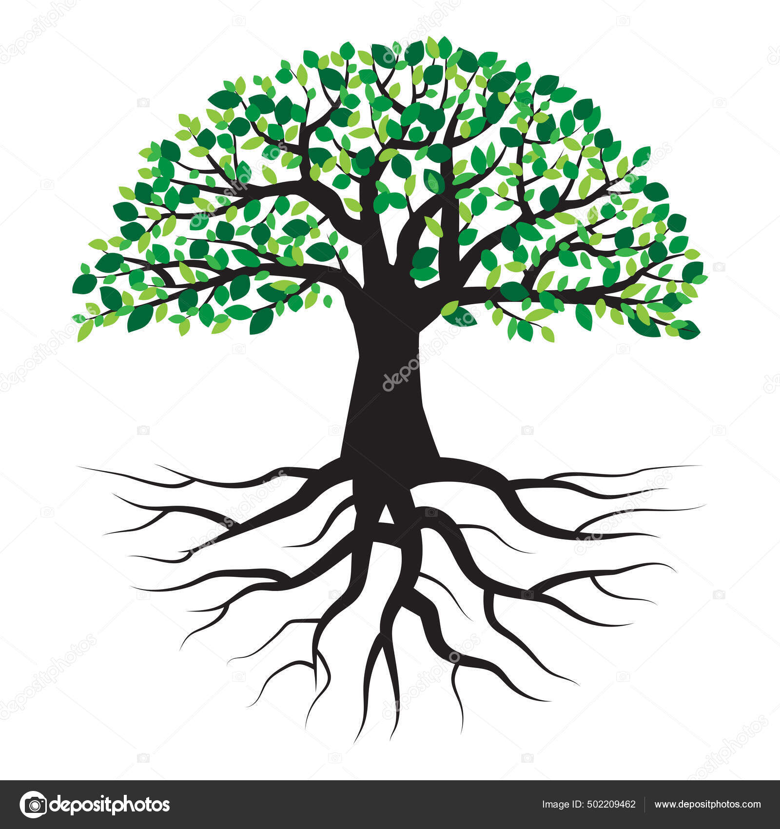 Árvore de verão com raiz. Folha verde. Desenho árvore de primavera ...
