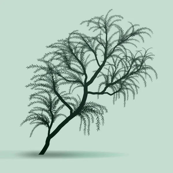 23,902,684 Epiphytes tree Vector Images | Depositphotos