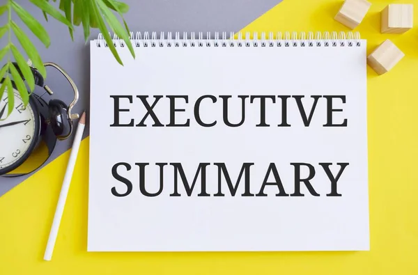 Executive Summary Logo