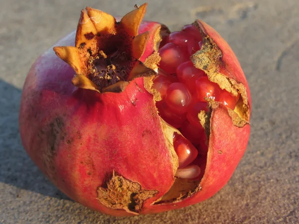 Rotting fruit Stock Photos, Royalty Free Rotting fruit Images ...