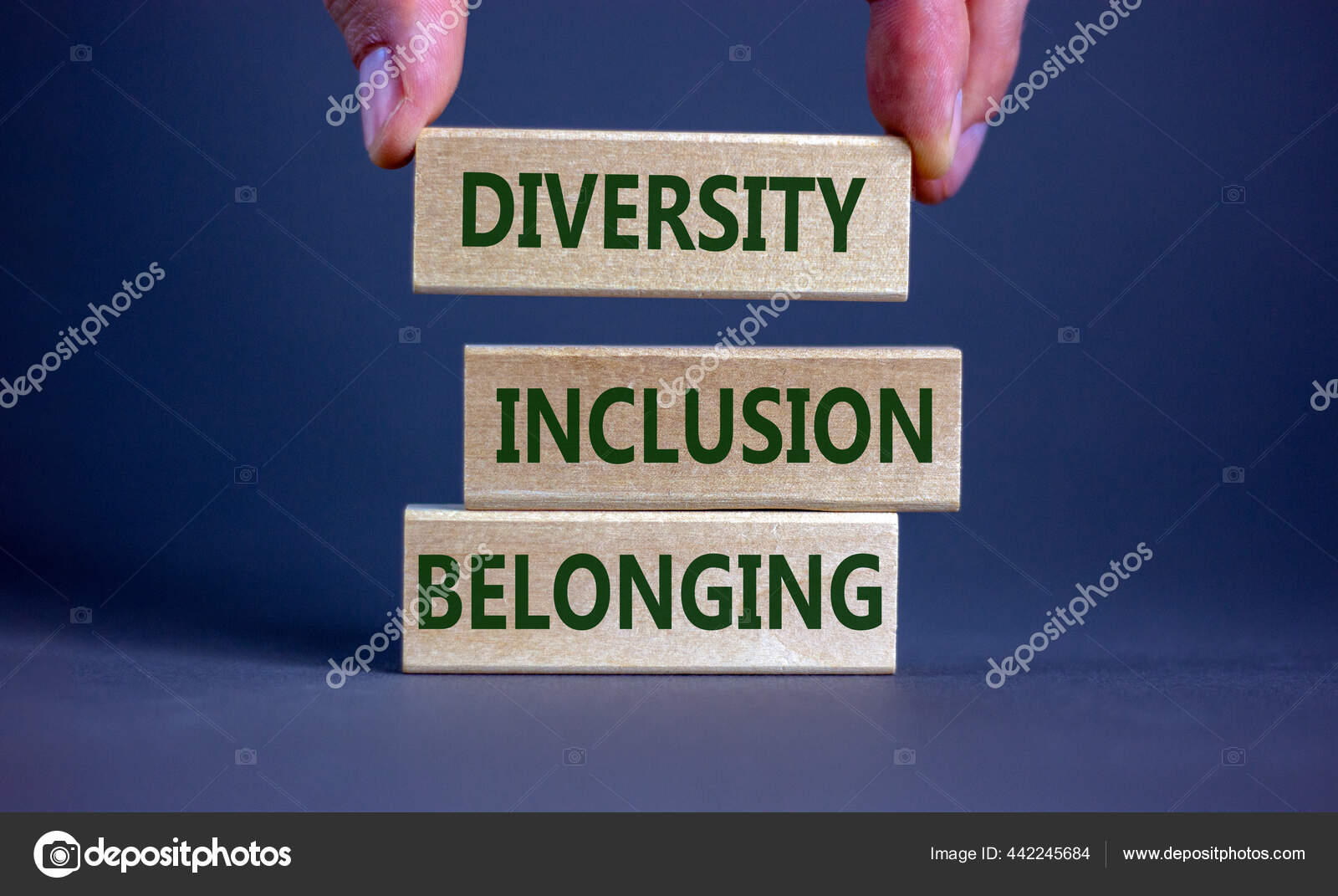 Diversity Inclusion Belonging Symbol Wooden Blocks Words 'Diversity Inclusion Belonging' Stock ...