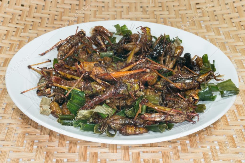 Crispy fried insects with basketwork background Stock Photo by ...