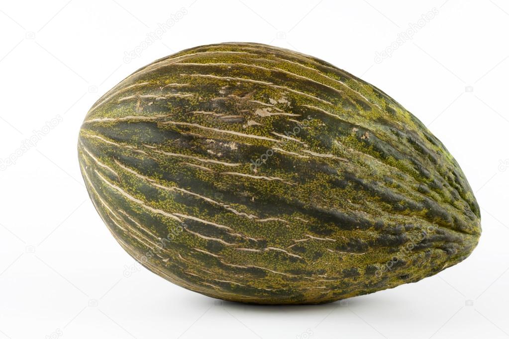 Whole single Piel de sapo melon on white background — Stock Photo ...