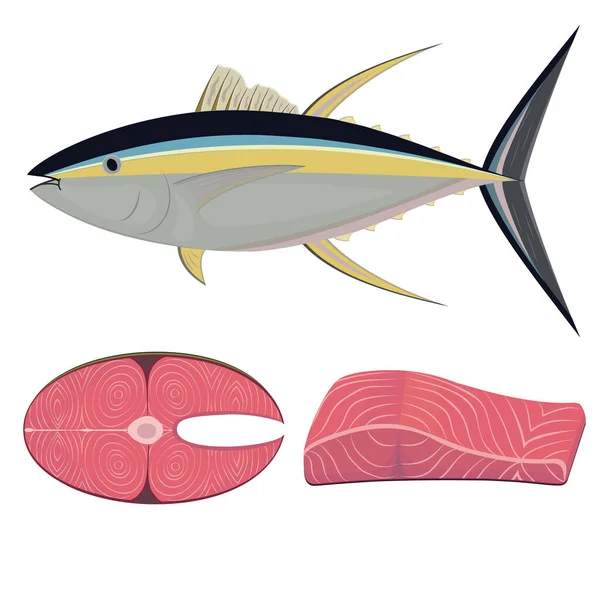 23,900,065 Fish internal Vector Images | Depositphotos