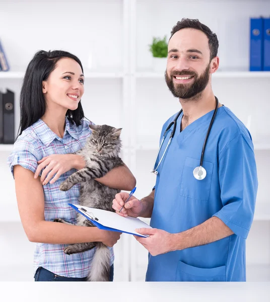 Vet Stock Photos, Royalty Free Vet Images | Depositphotos